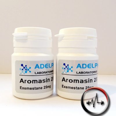 Adelphi Orals | Muscle Rapid
