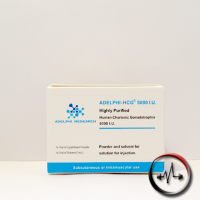 PCT/Fat Loss/Other | Muscle Rapid